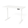 Flake Motorized Desk - FlakeTech